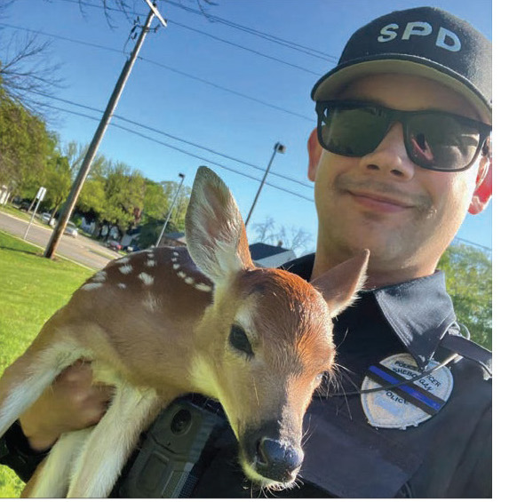 Sheboygan police officer moves fawn to safety - The Beacon
